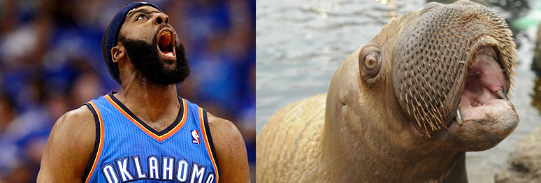 NBA Farm - Players and their Animals Look Alike | NBA FUNNY MOMENTS