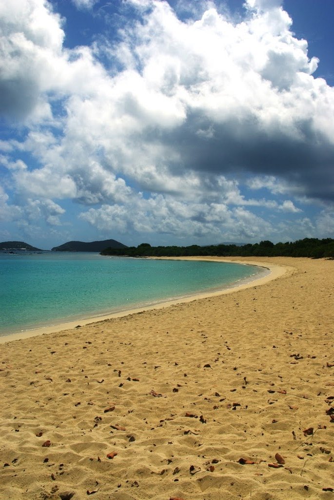 The BVIs: Basset's View of the Islands: Beach Week 2011 - Long Bay ...