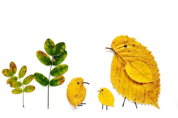 leaf animals ~ craft ideas and art projects