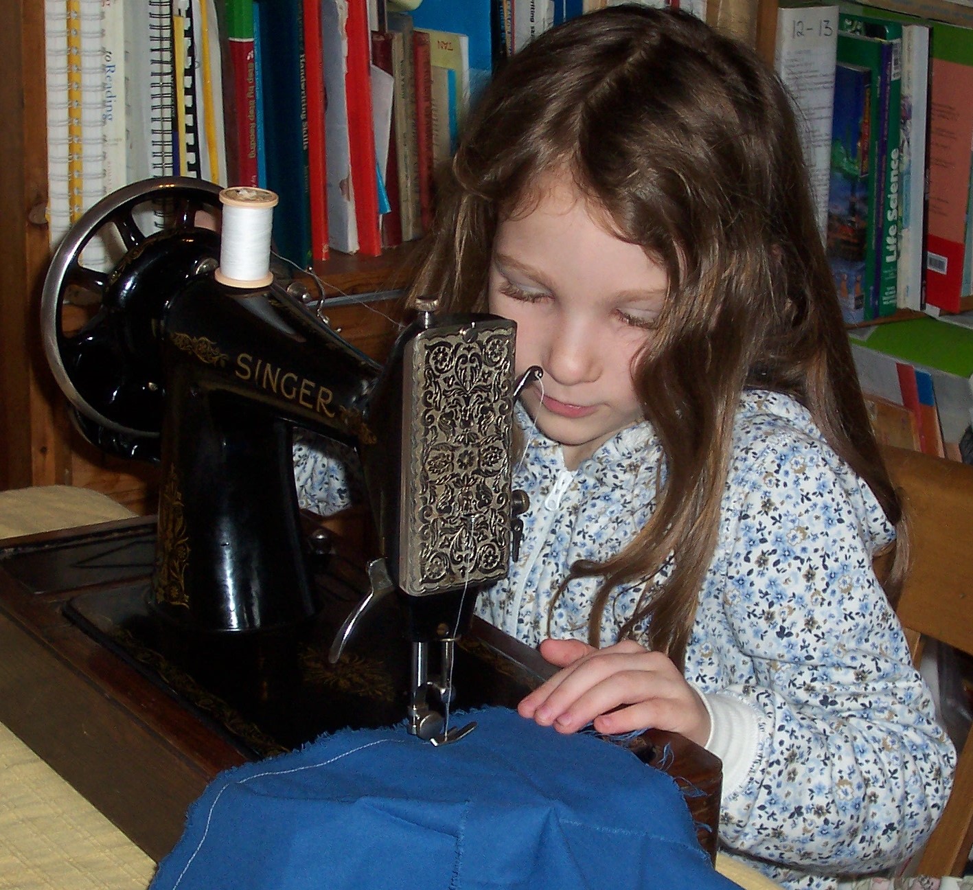 Lizzie Lenard Vintage Sewing: Sewing Lessons