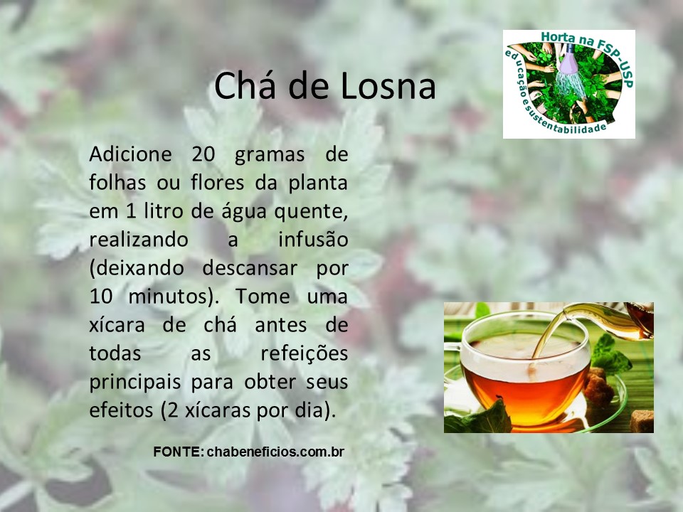 Planta da Semana: Losna