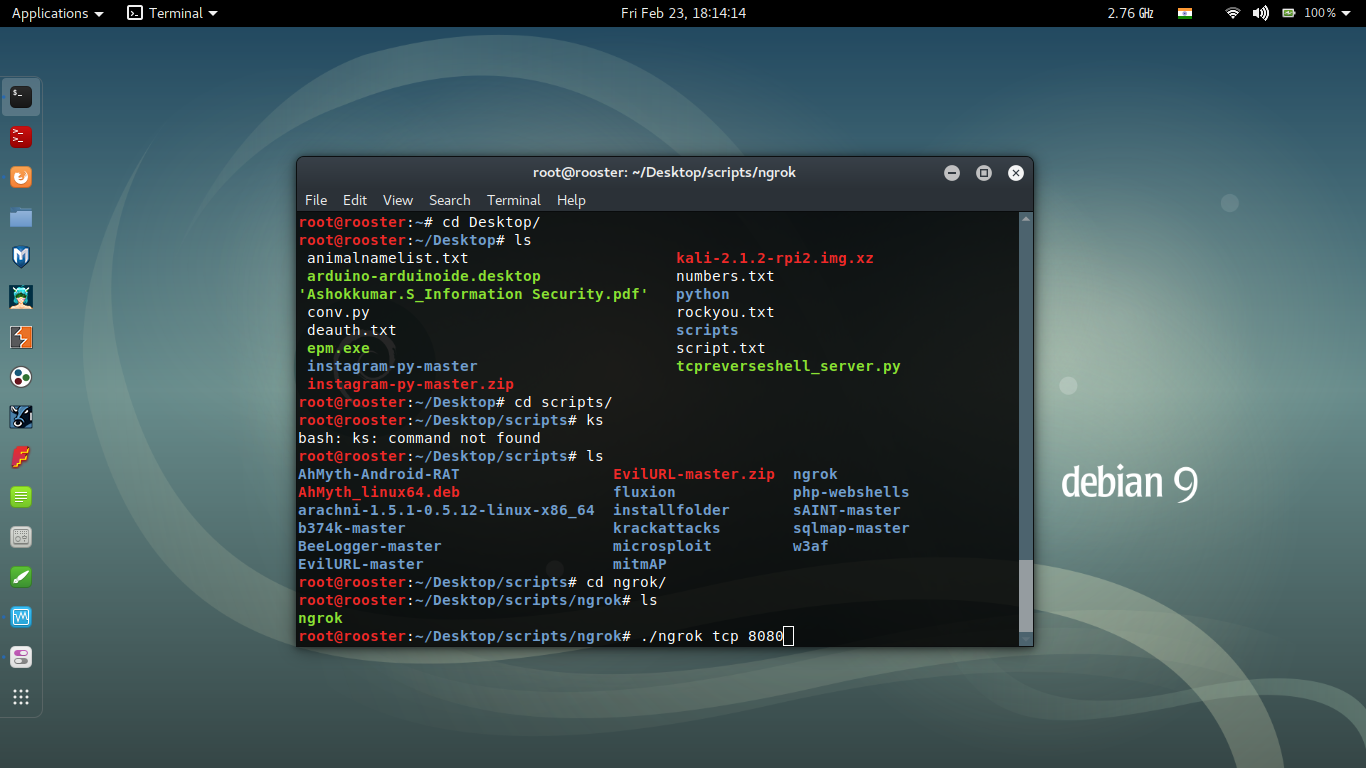 NO PORT FORWARDING]!!!!!!!!!! Reverse tcp shell and configure ngrok
