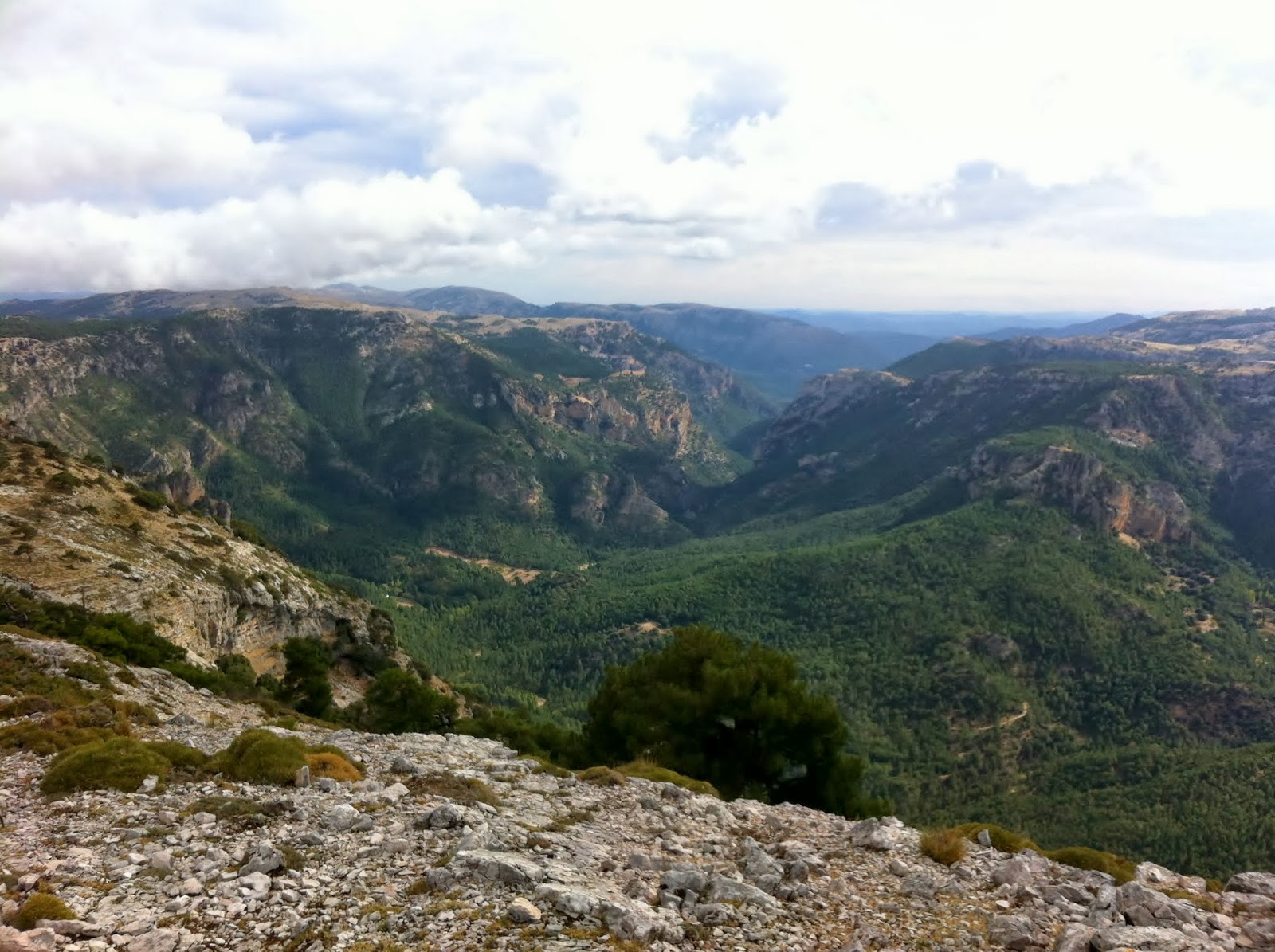 Club de Senderismo Los Escuderos de Rus (Jaen): PEDREGOSO, LOS ...
