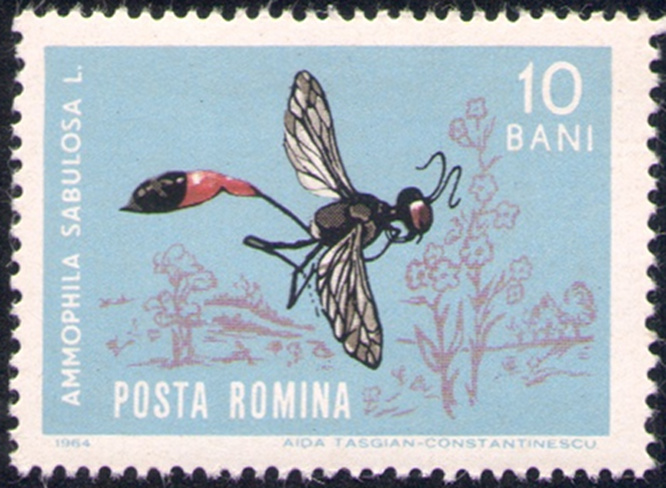Timbre filatelice: Timbre cu insecte din fauna Romaniei