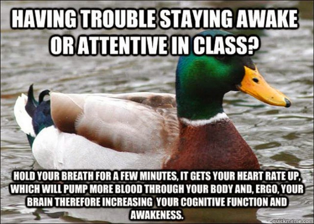 Chuck's Fun Page 2: Advice mallard has some suggestions for you (15 pics)
