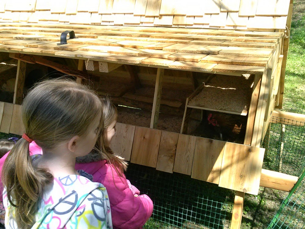 Ben's Natural Building: Redesigning the Chicken Ark: Unadilla Community ...