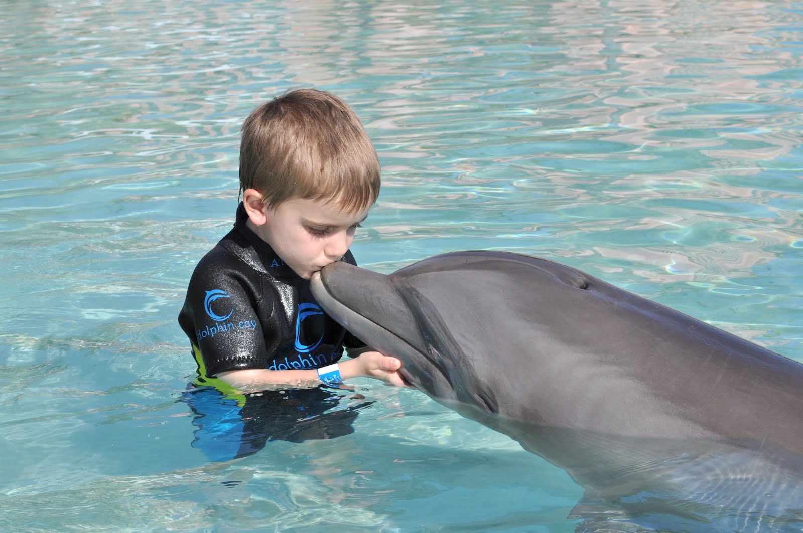 The Baima Family Blog: Swimming with Dolphins