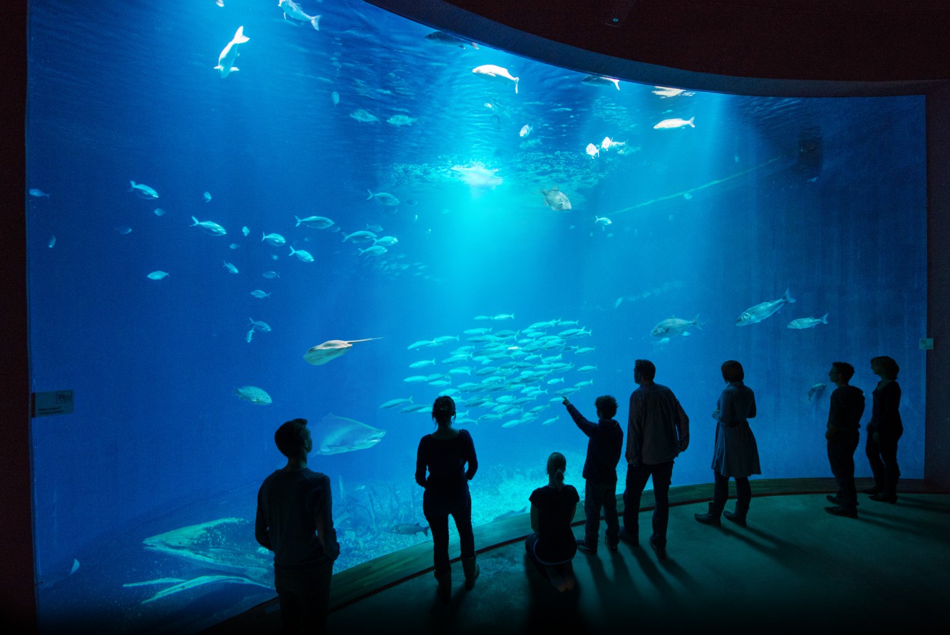 Moje podróżowanie - Oceanarium Stralsund