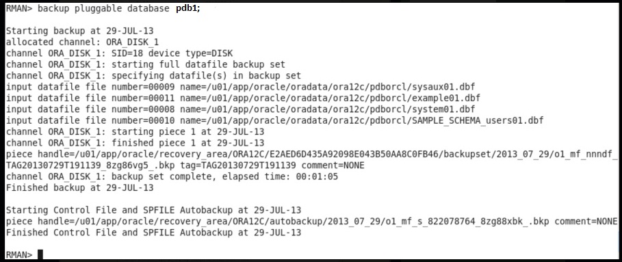 Insights And Strategies For Dba Backup Pluggable Databases