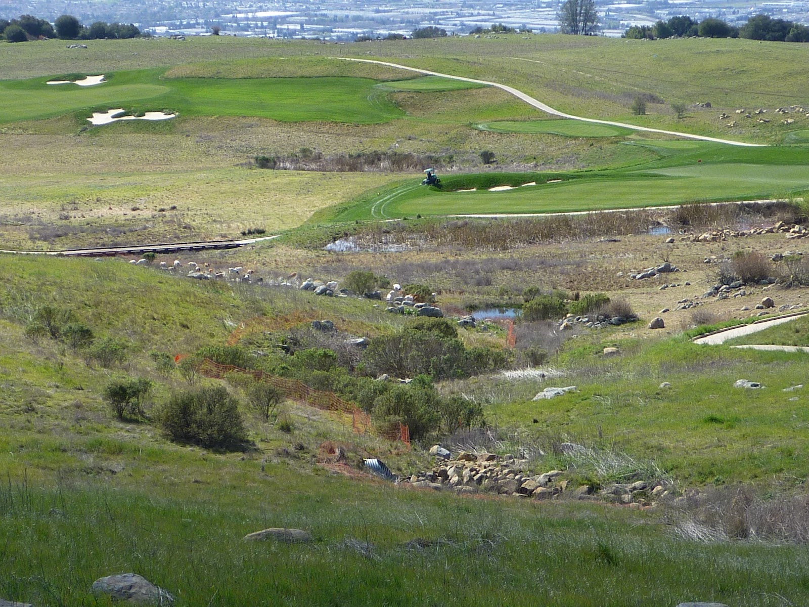 TPC Stonebrae Maintenance