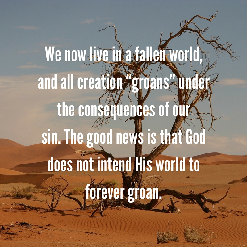 The Good News Gospel: Salvation belongs to the lord