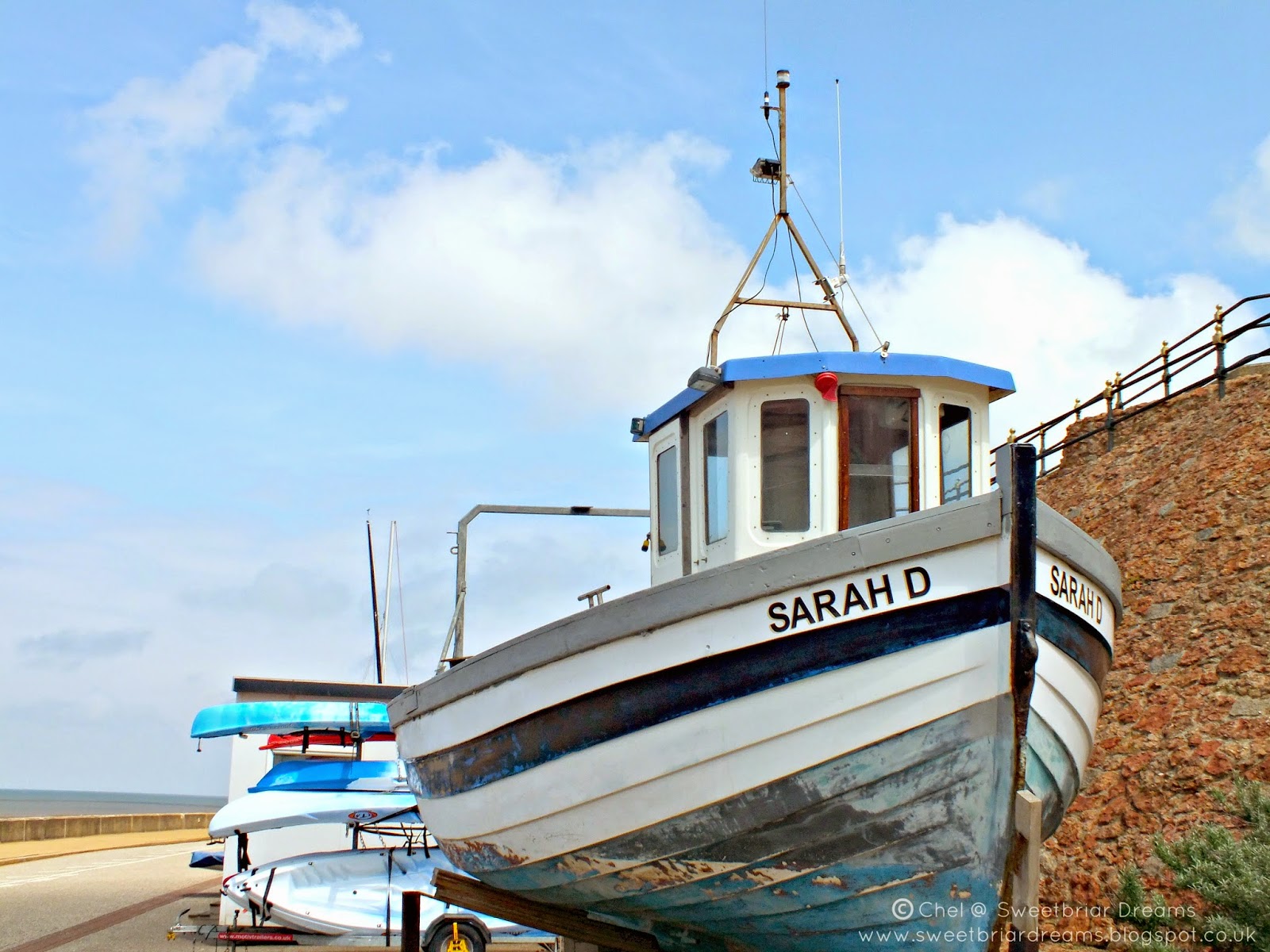 Sweetbriar Dreams: Singing Cockles and Mussels Alive Alive Oh