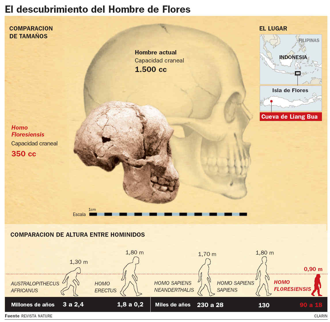 PA LO QUE HEMOS QUEDAO: HOMO FLORESIENSIS. EL HOMBRE DE FLORES. EL HOBBIT