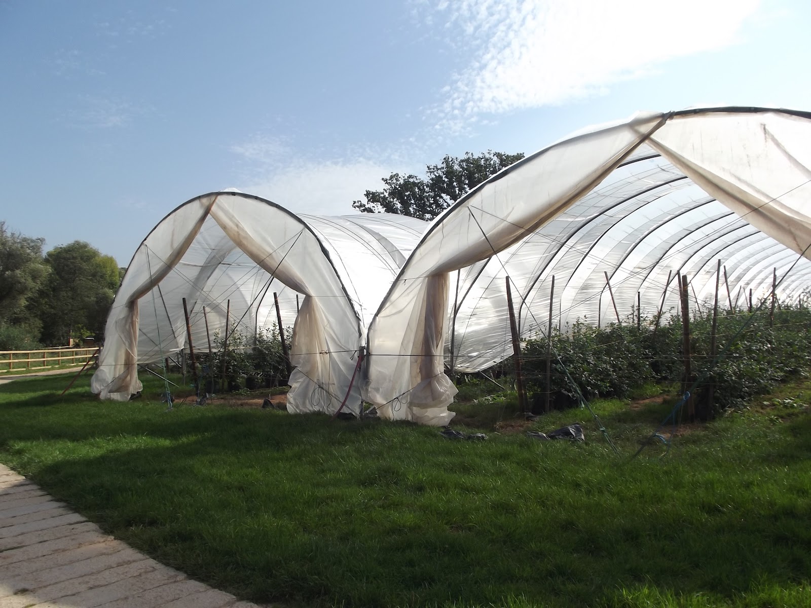 Great American Haygrove Tunnel Tour: Introducing Haygrove Tour in Britain