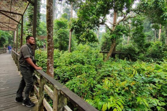 RUNNING WITH PASSION: Travel Trends: Ecotourism a New Favourite for ...