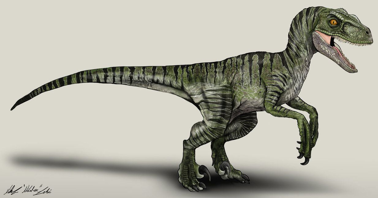 Curiosidades jurássicas: Velociraptor sornarensis e nublarensis ...