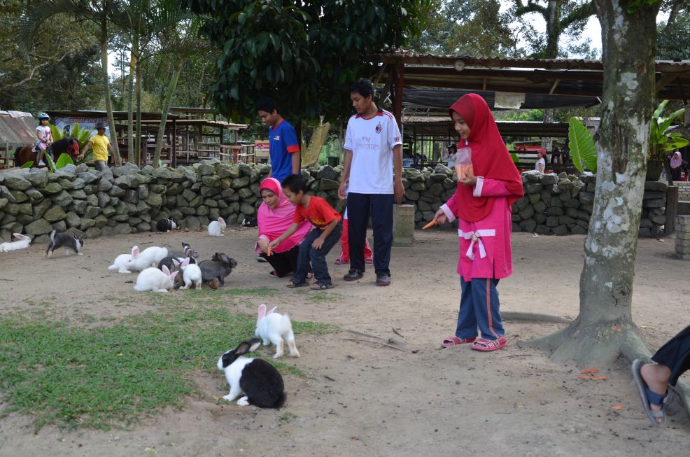 Memoirs Keluarga...: 226. Taman Arnab BROGA