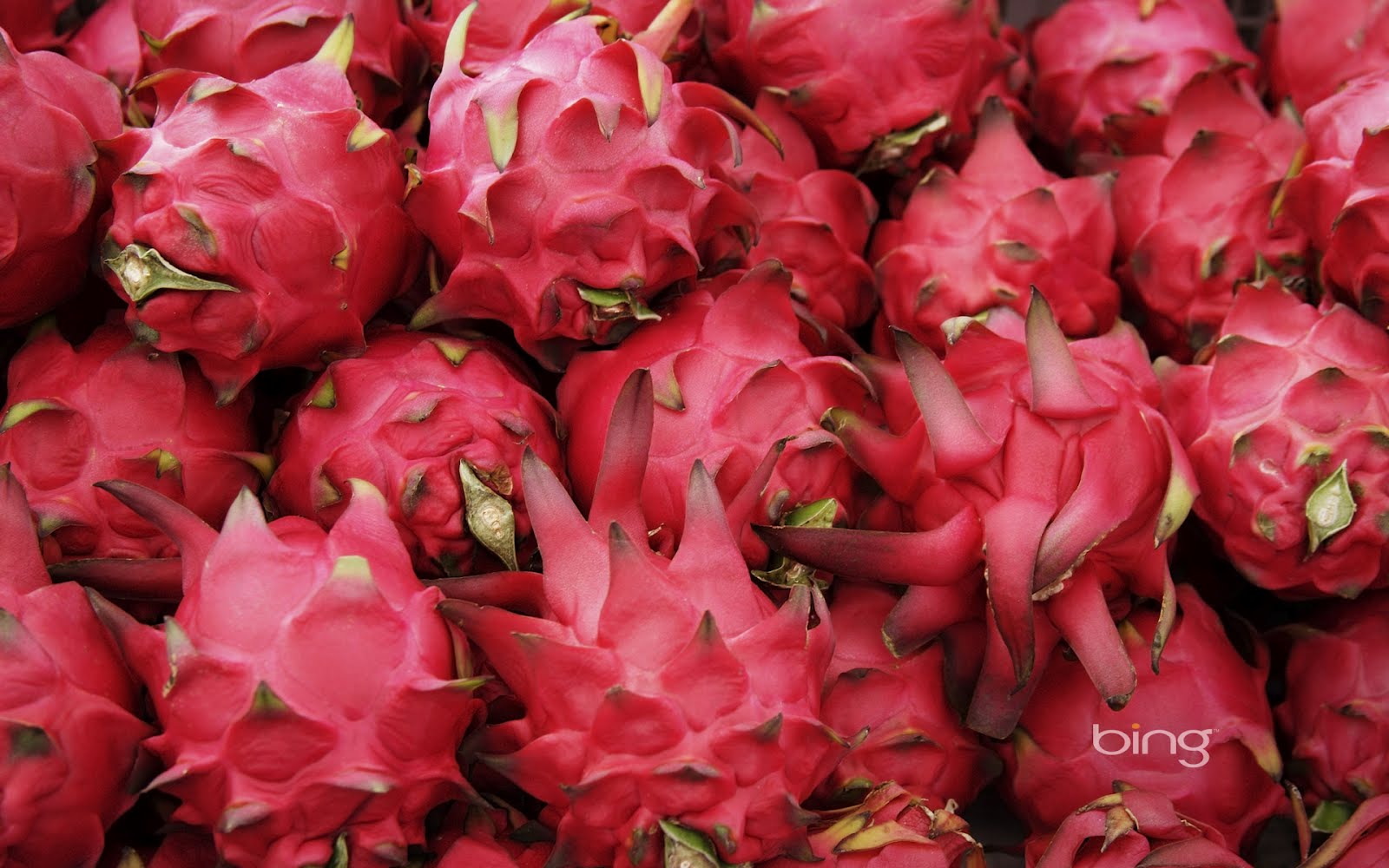 Banco de Imágenes Gratis: Las mejores imágenes de Bing (Parte 1, 40 fotos)