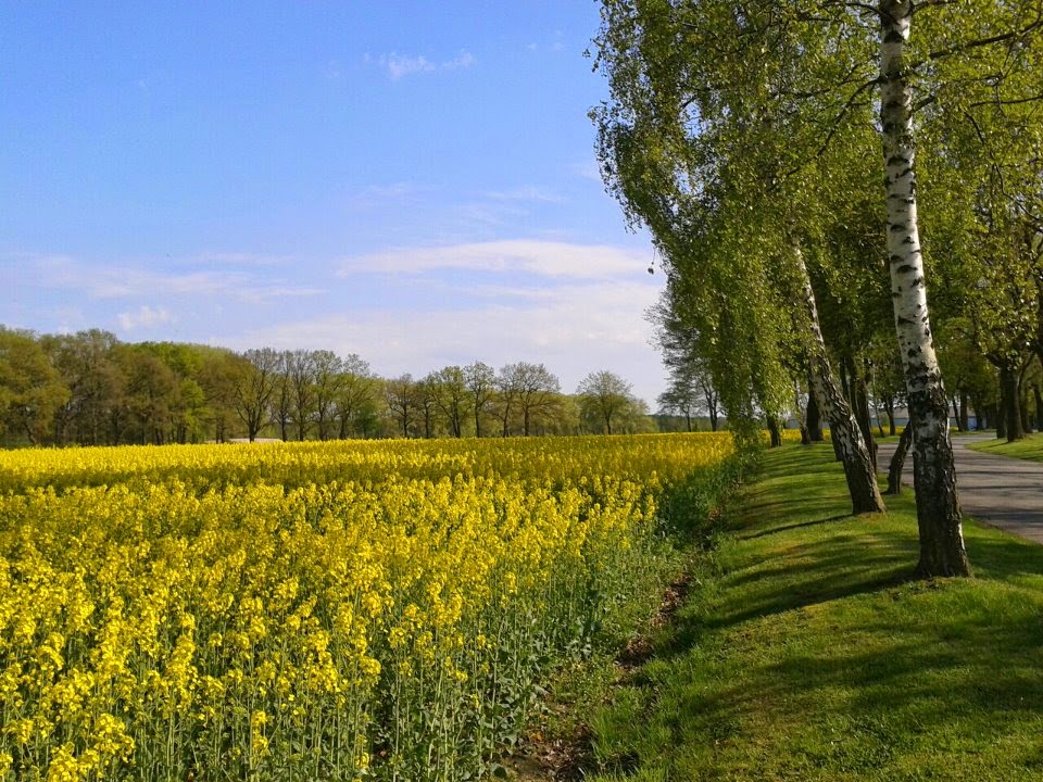 Enjoy in Hamburg: Von Glinde nach Reinbek mit dem Fahrrad