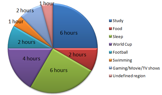The World and Me : The making of my pie chart...