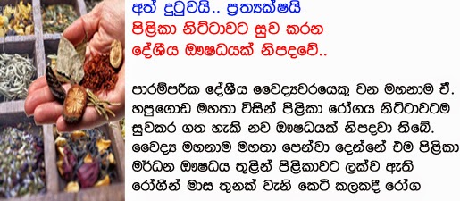 Gossip Lanka News: Pilika Rogaya