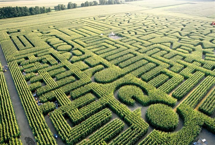 ¿Es Freud idiota?: Laberintos