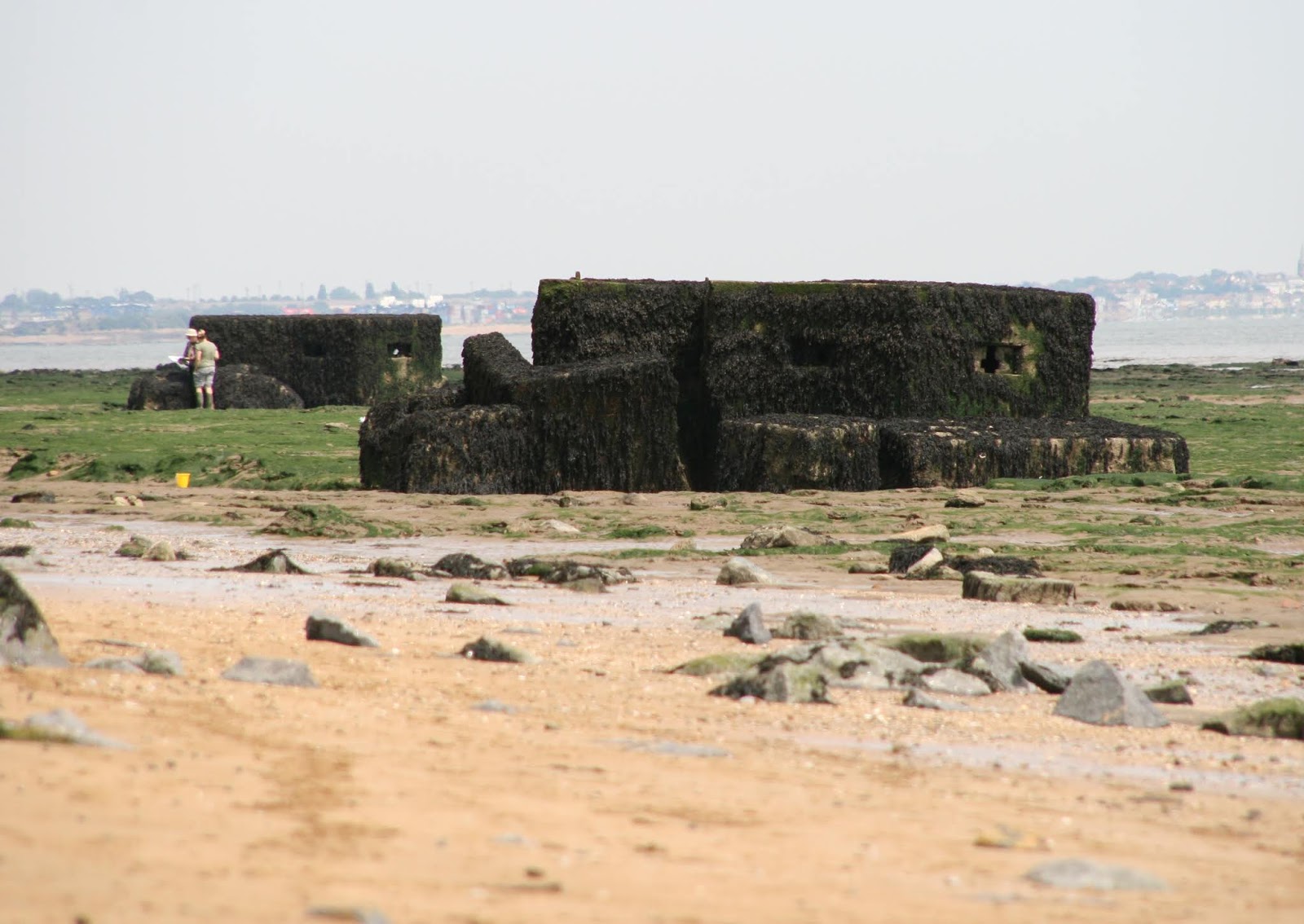 DiscoverThat - Journal: The Naze