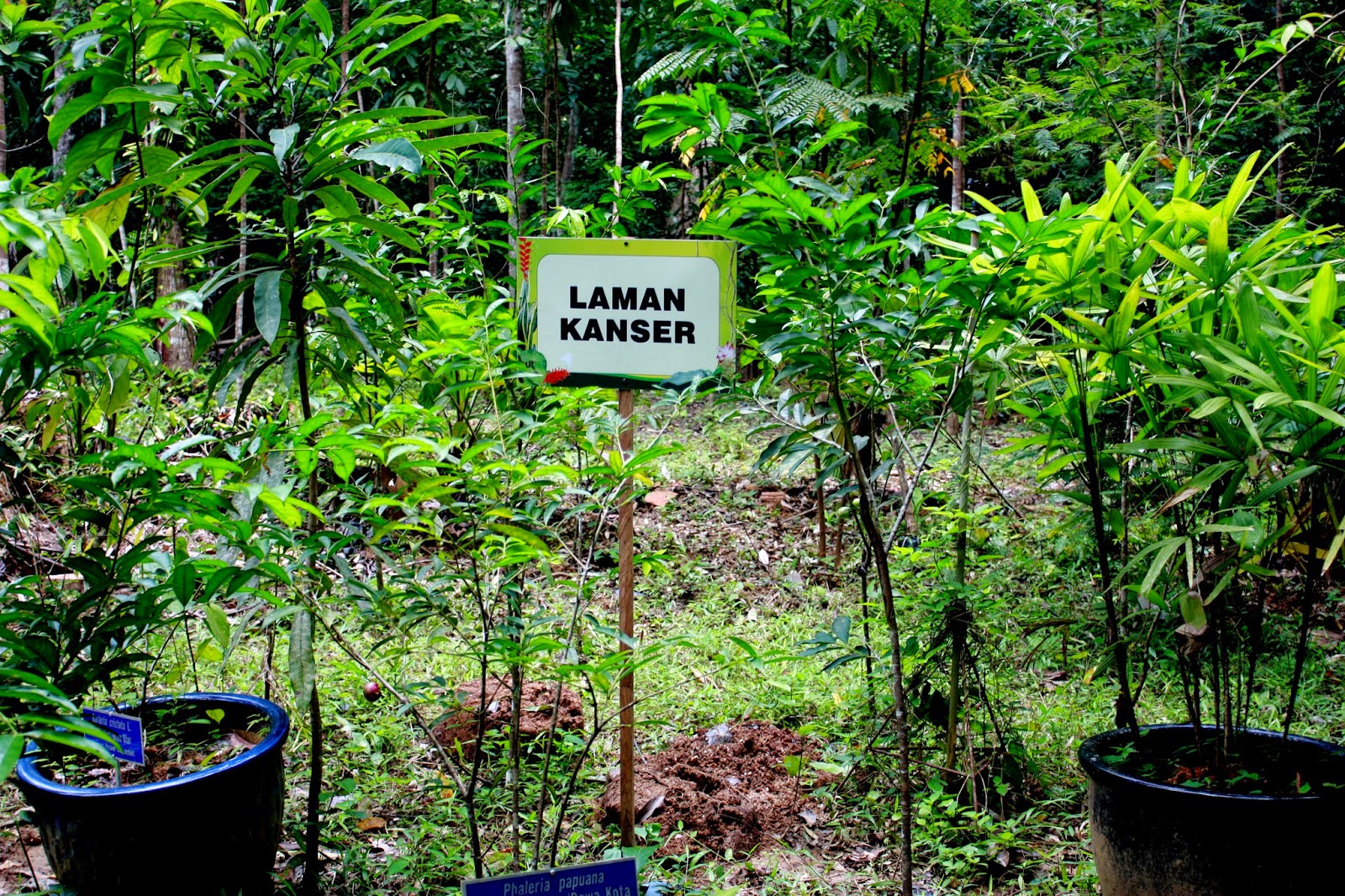 Kisah Tatie | Travel Blogger Malaysia: KEPELBAGAIAN HERBA DI TAMAN ...