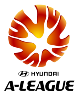 A-League Finals 2014