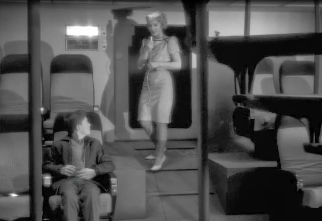 Talking Bees, A Killer Moon Plant and Curvy Ladies: A Fun Day with The ...