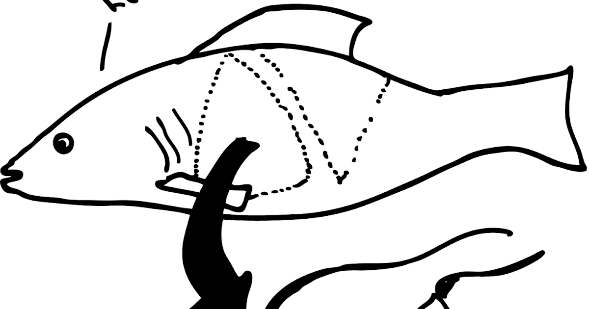 No Direction: Fish Skin Tanning Experiment