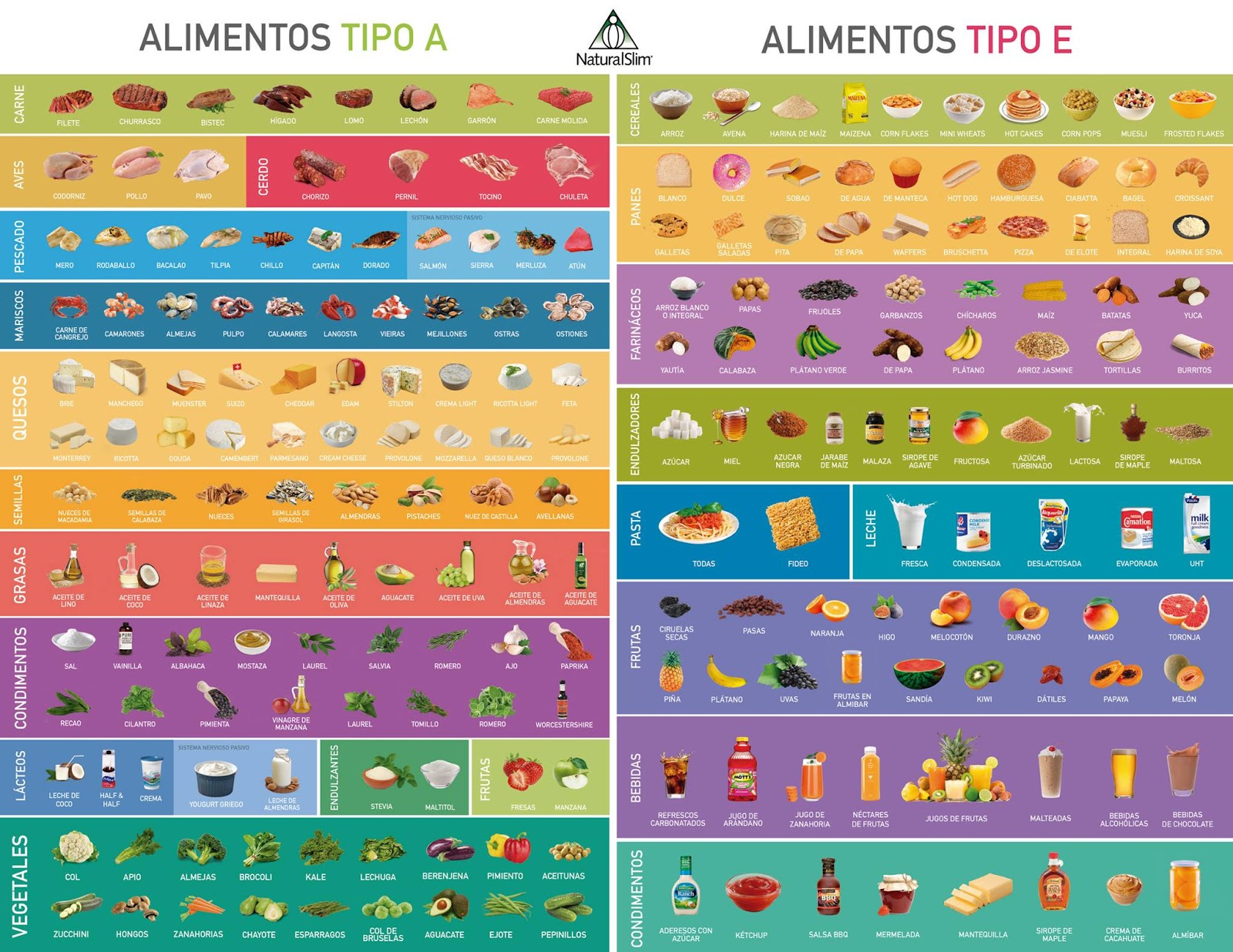 Cursos 15: Alimententos Tipo A y E, dieta 4x1 metabolismotv