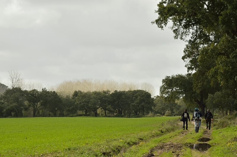 O melhor Alentejo do Mundo: Sitio de Cabrela (Montemor-o-Novo)