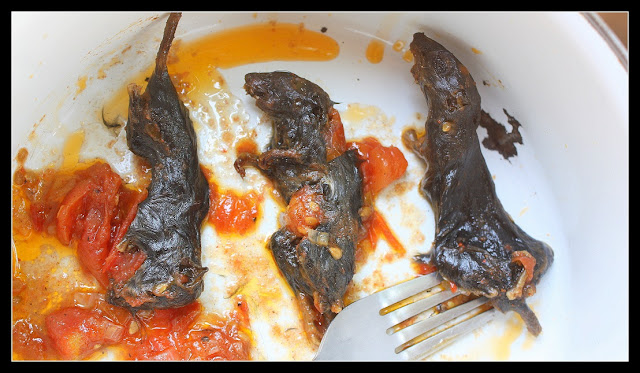 Bom Dia, Mozambique! : 91. Rats