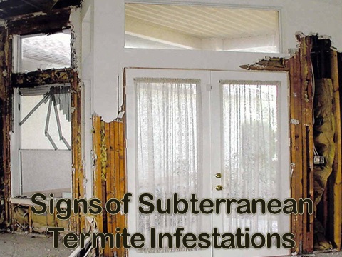 National Committee on Urban Pest Control Training Institute: TERMITE ...