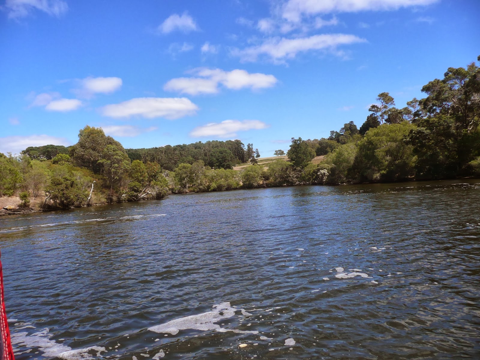 MobileMarshies: ALBANY 3 - THE KALGAN RIVER CRUISE (FEBRUARY 2014)
