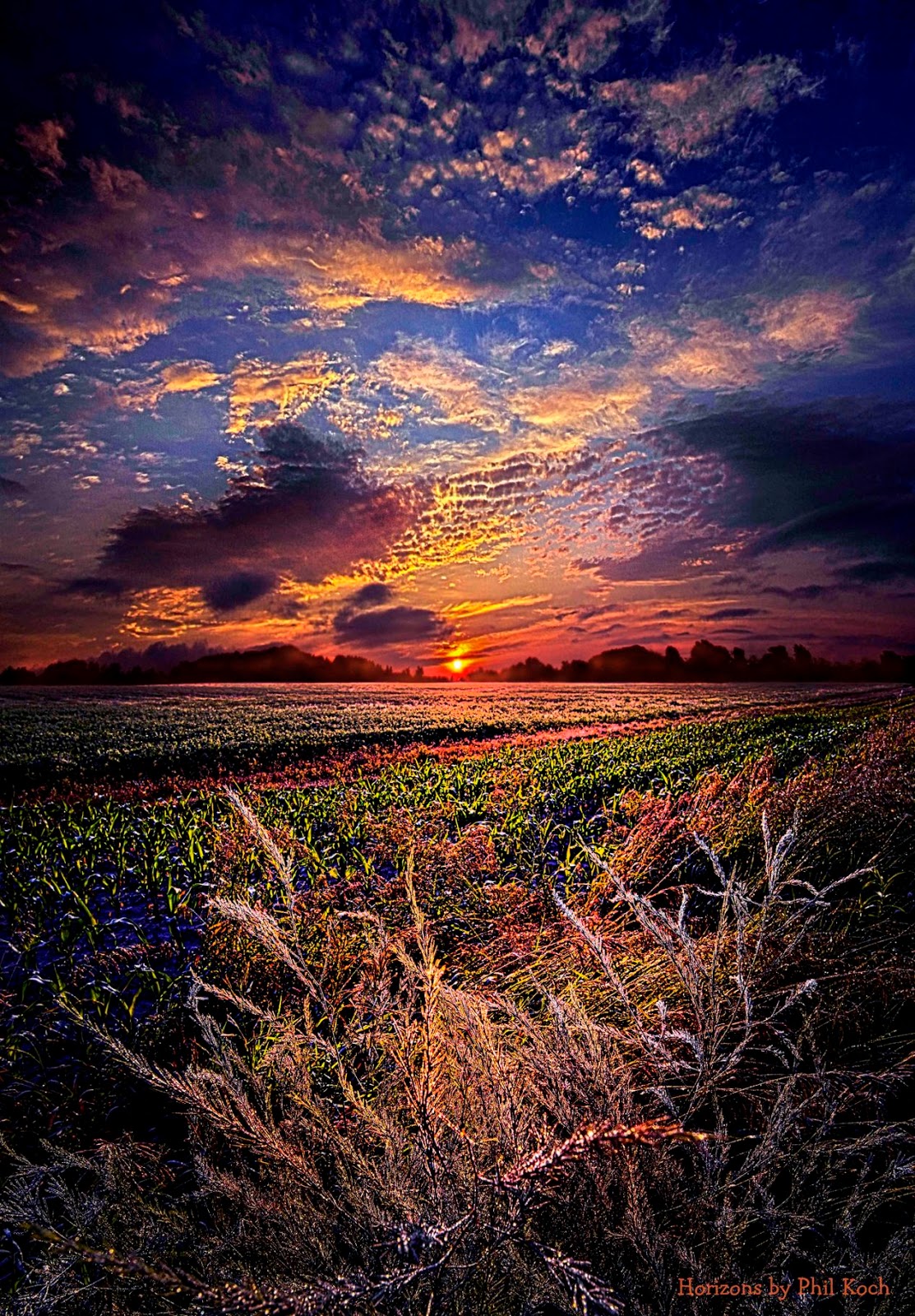 Sunset at Fields ~ Marvelous Nature