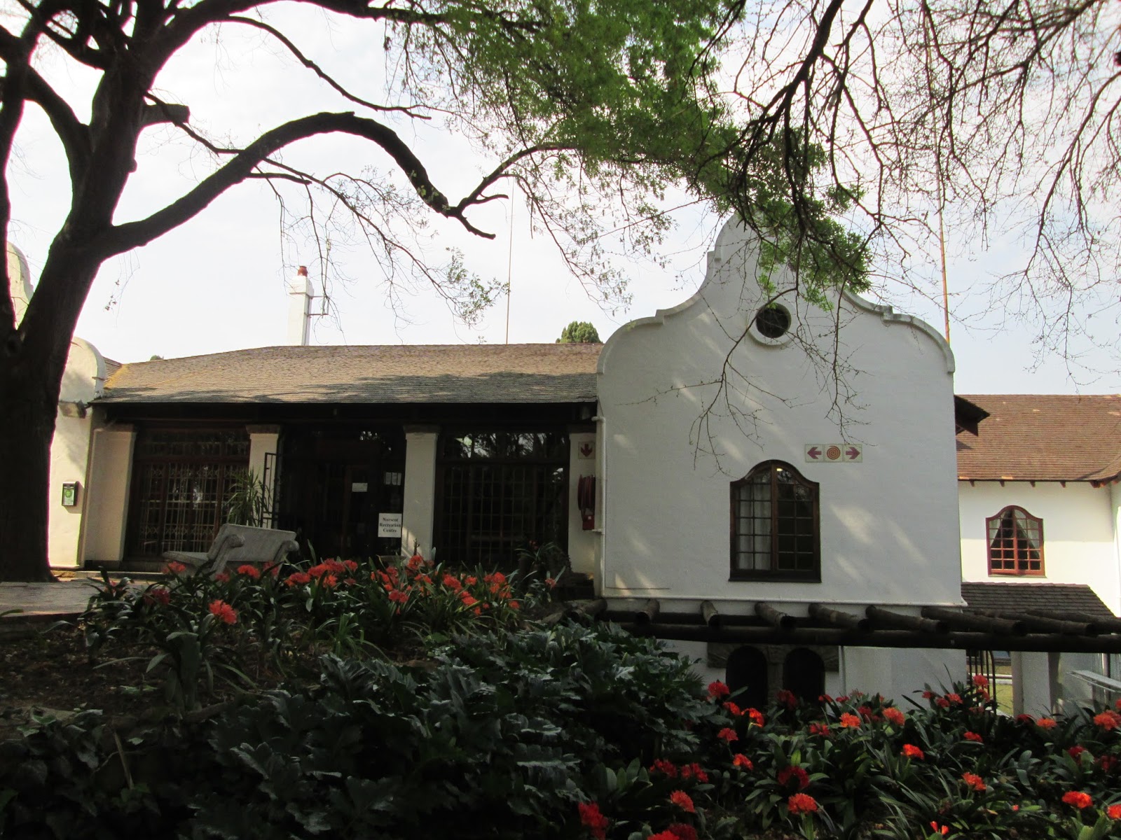 The Great Wildebeest Migration: Save Norscot Manor