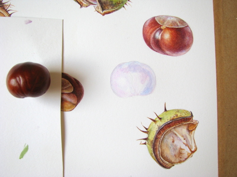 Alexander & Conkers – Shevaun Doherty