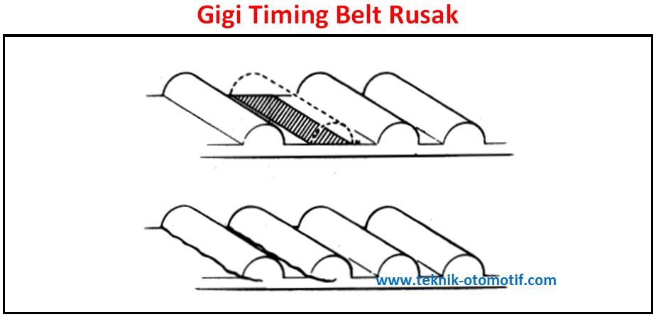 Pemeriksaan Timing Belt | teknik-otomotif.com