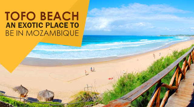 Tofo Beach : An Exotic Place to be in Mozambique - Casamozambique ...