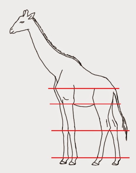 Crista Forest's Animals & Art: How To Draw Animals - Horse Legs - Part 2