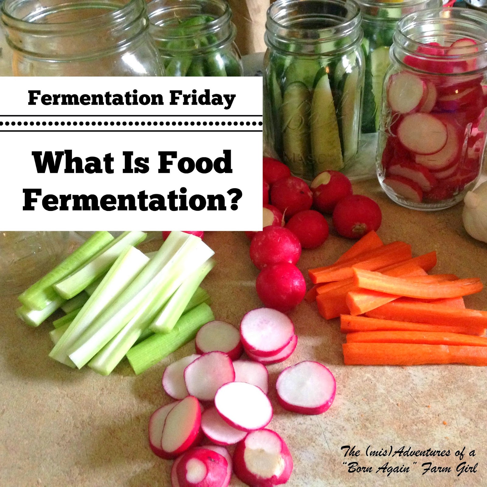 What Is Food Fermentation? - The (mis)Adventures of a Homesteadin' Mama
