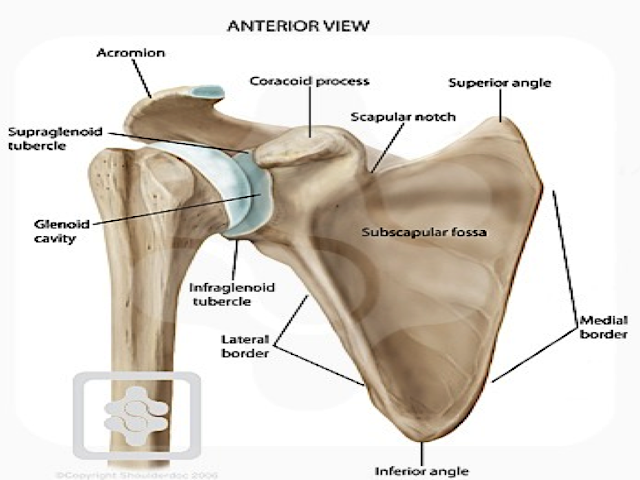 DERS NOTLARI: Ekim 2015