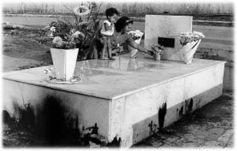 Caliandra do Cerrado: Césio 137 – Marcas eternas