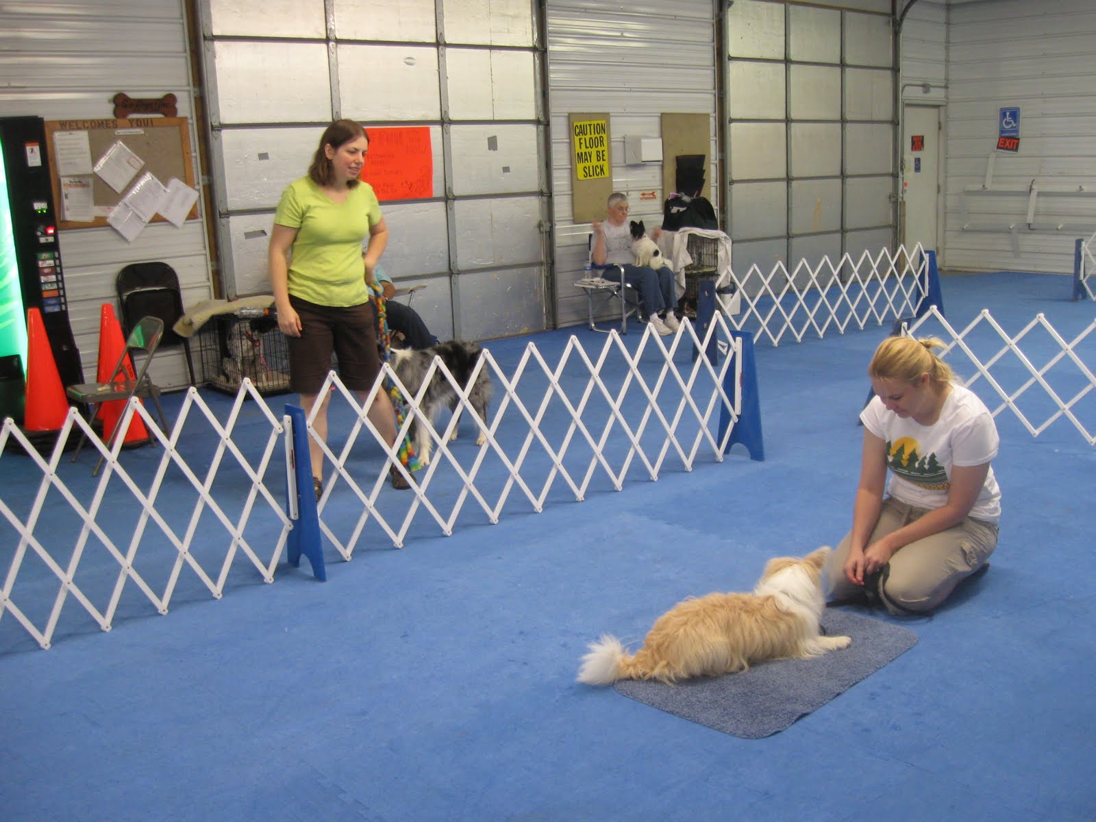 Reactive Champion: Sarah Kalnajs Seminar: Distance-Increasing Signals