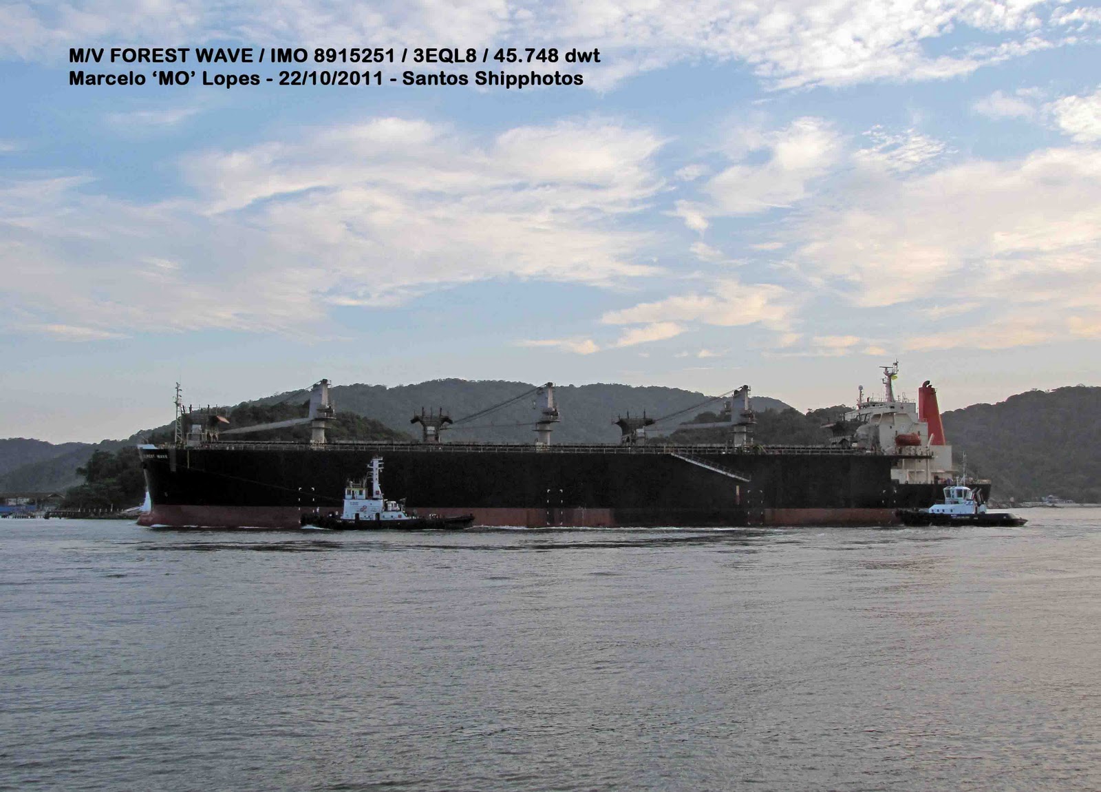 Santos Shiplovers: M/V Forest Wave / 3EQL8 - Um Wood Chip Carrier