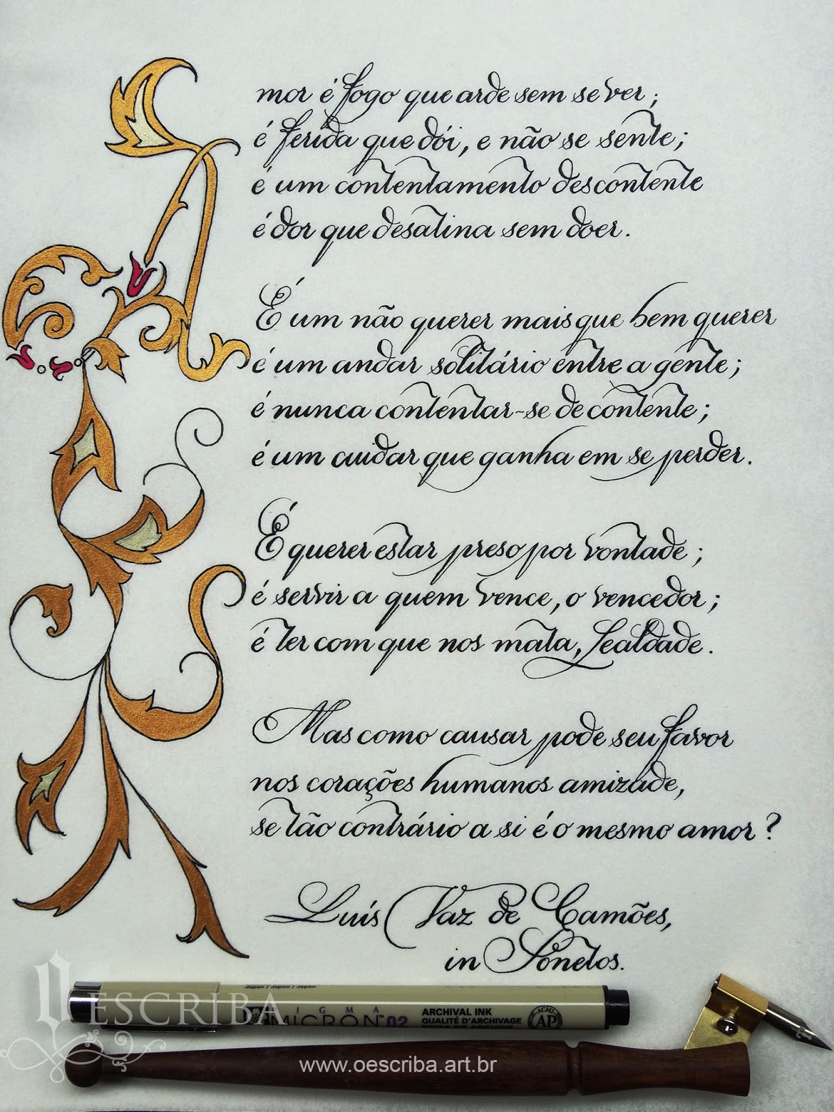 ANA BARROS CALIGRAFIA: Letras Capitulares: Um luxo!