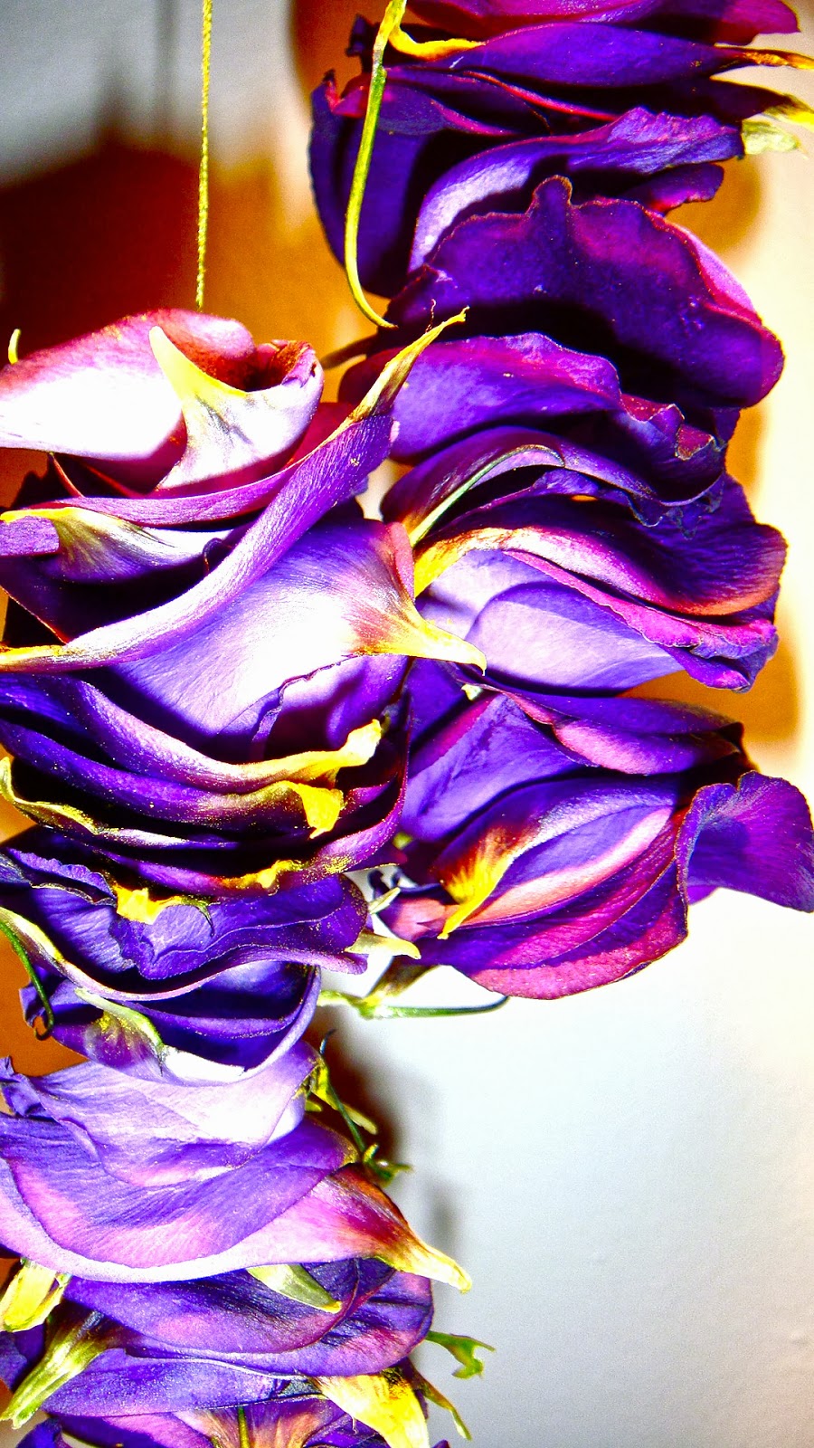 Stephanie Deaves: 'Sway' fabric collection