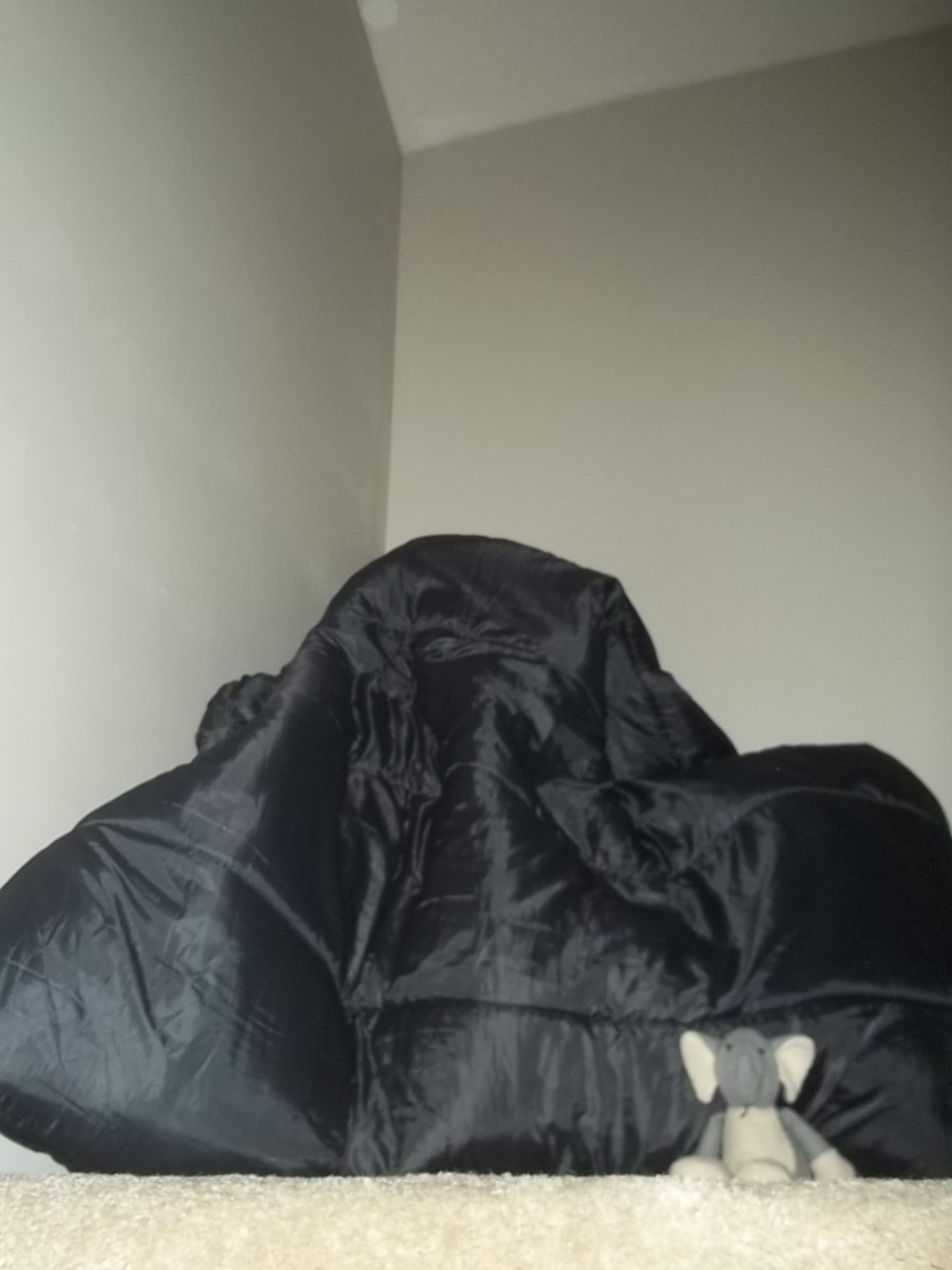 Izaiah's Scroll: Grab Bag of Therapy Ideas